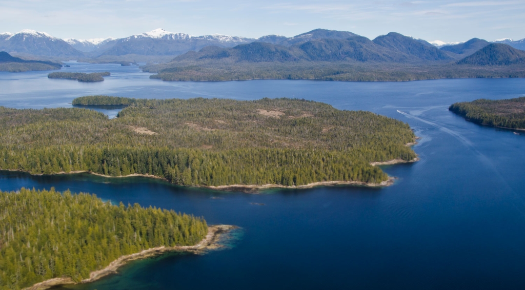 The Great Bear Rainforest | Indigenous Tourism BC