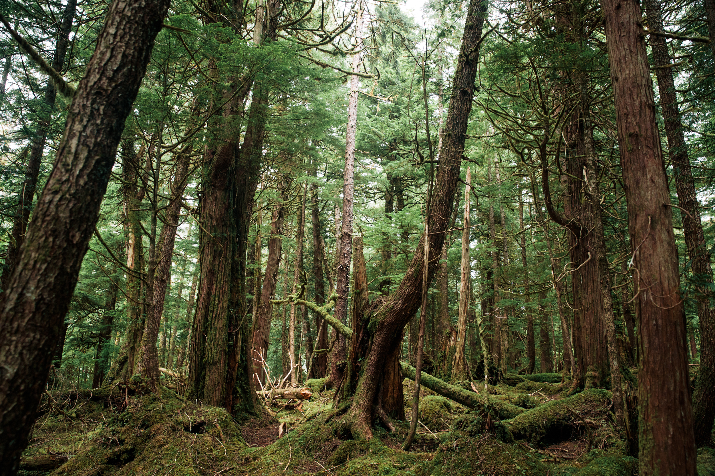 Northern British Columbia - Indigenous Tourism BC