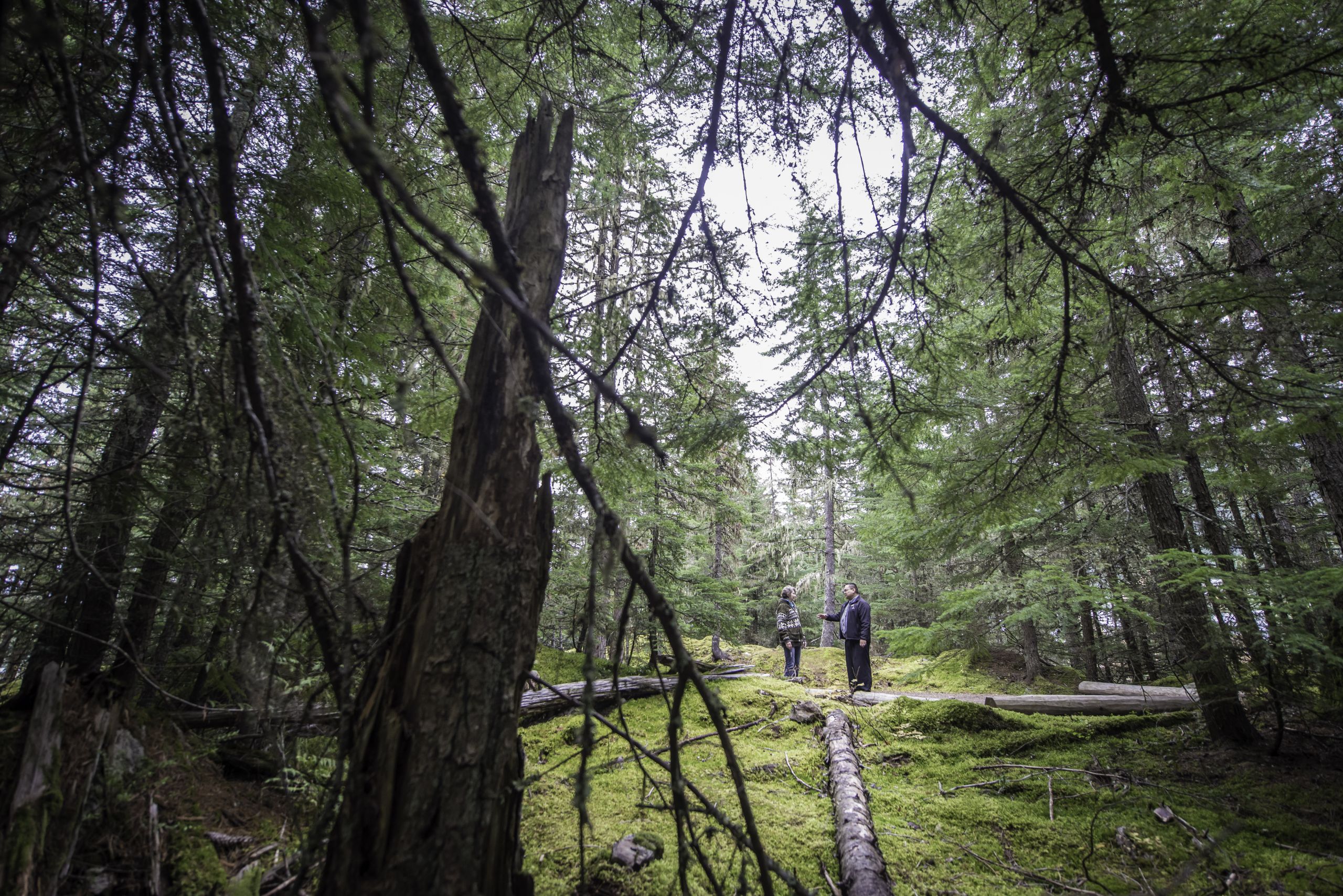 ITBC Unveils Five-Year Plan to Empower Indigenous Tourism in BC ...